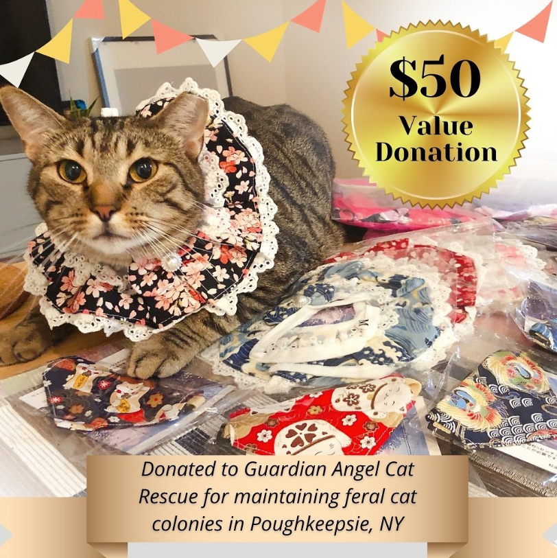 We Support Local Cat Rescue Group! – MeowMeowRepublic